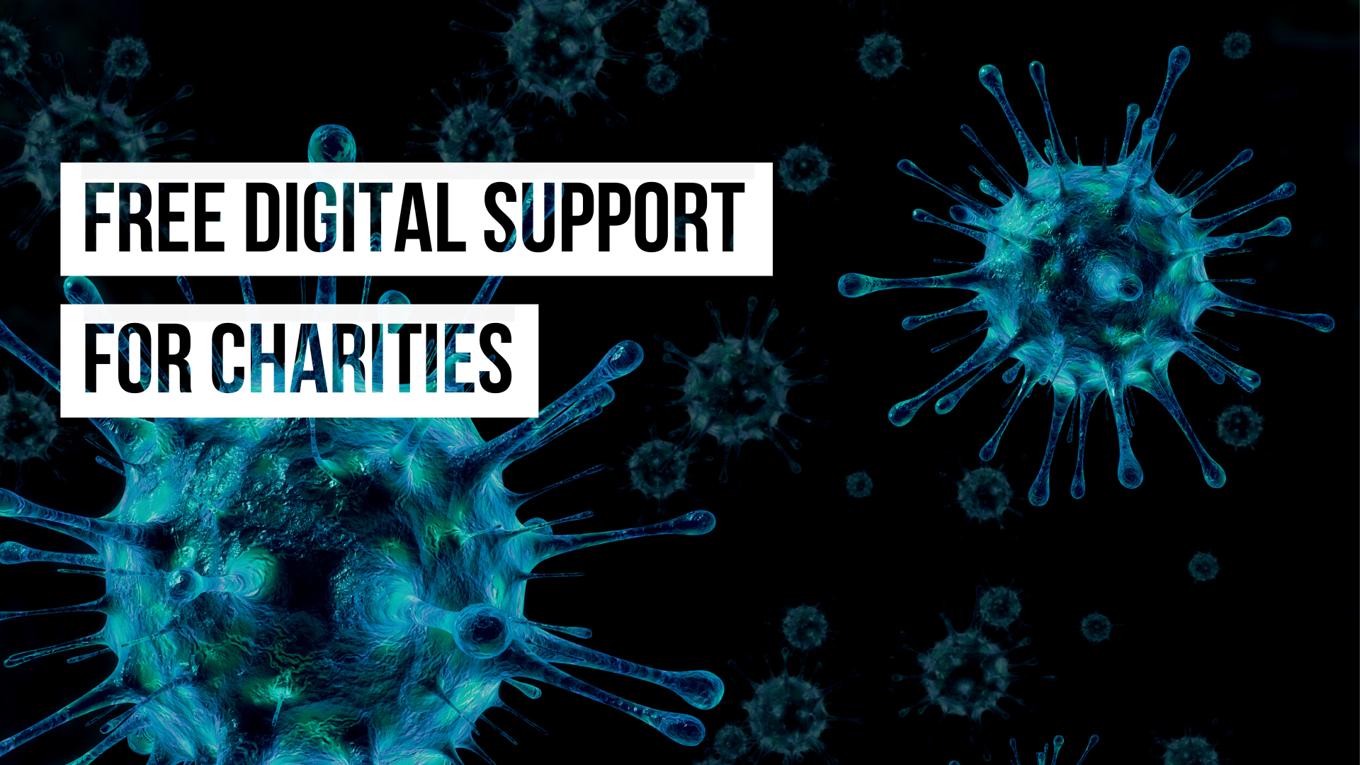 Digital Support | Energise Technology